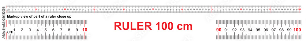 Ruler 100 cm. Precise measuring tool. Ruler scale 1 meter. Ruler grid ...