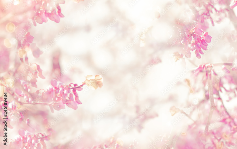 Light Background Flower Designs