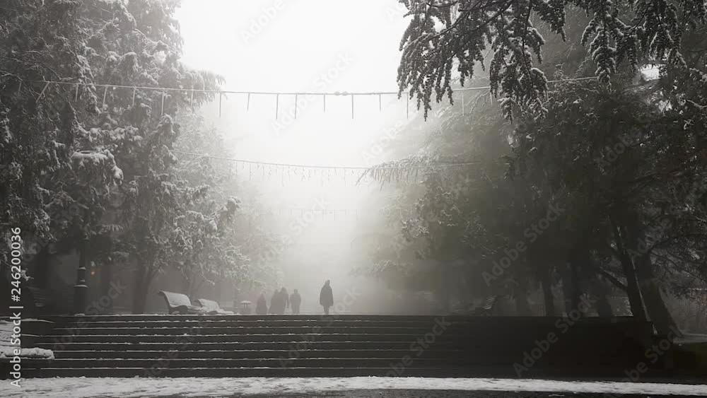 Silhouette of people walking surrounded by the dark and fog during ...