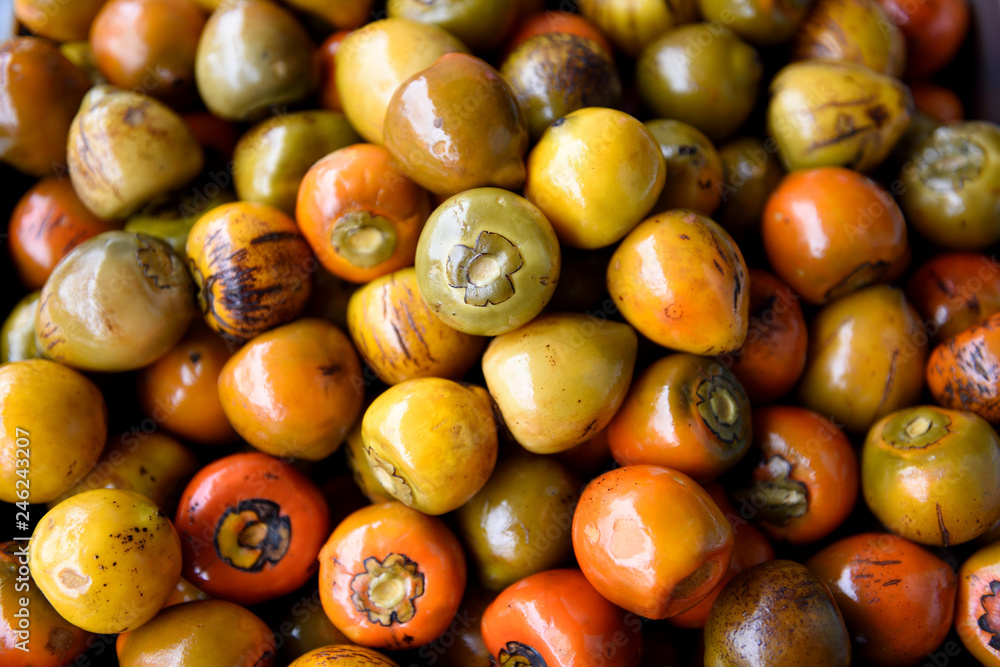 View above a group of fresh tropical Peach Palm fruit, from the Bactris ...