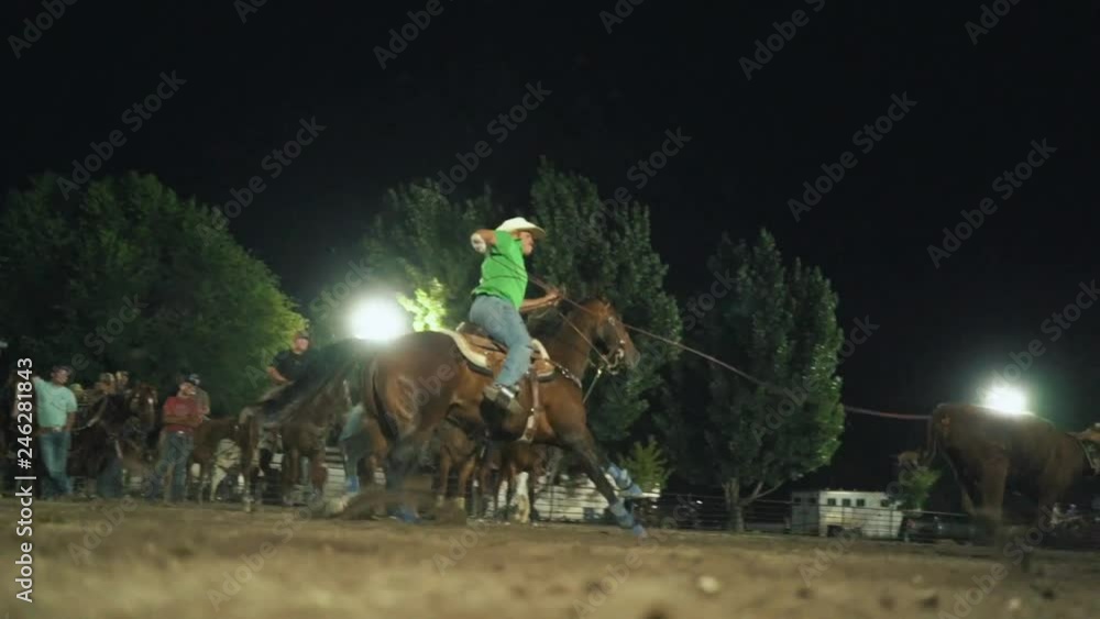 cowboy riding a horse roping a cow vídeo do Stock | Adobe Stock