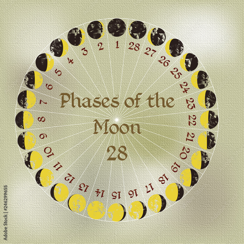 phase of the moon28; lunar phase, lunar calendar /cs2 Stock Vector ...
