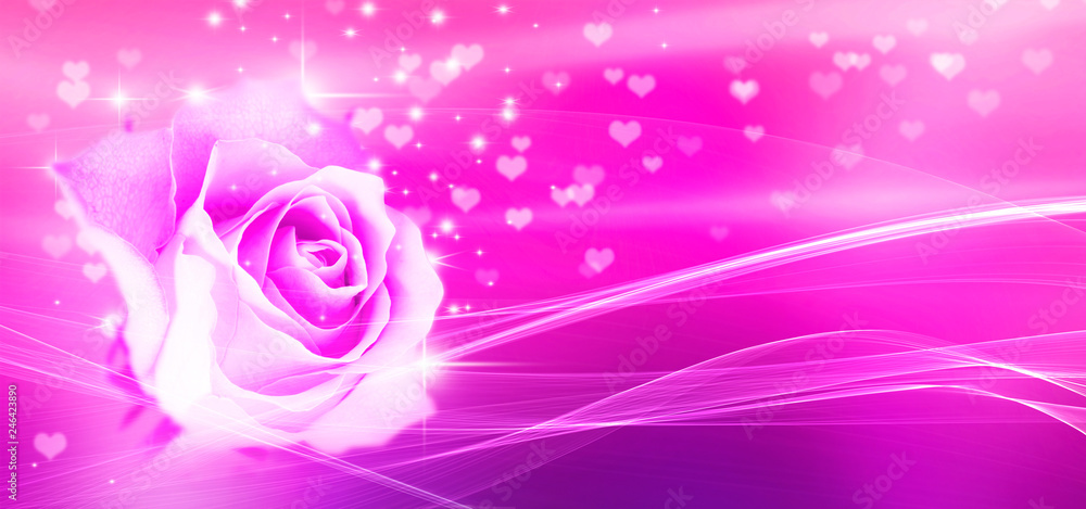 Pink Background For Debut