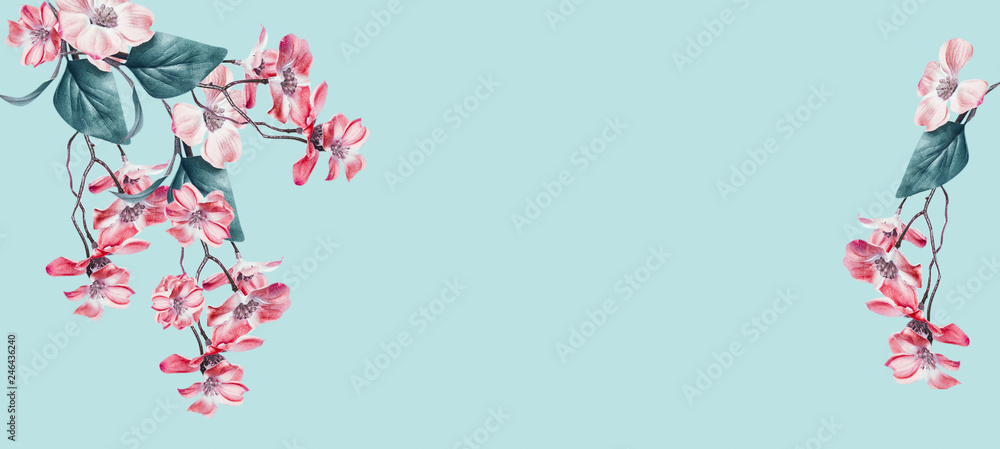Turquoise And Coral Background
