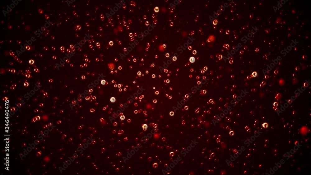 Abstract Red Blood Cells Background Loop/ 4k animation of a health and ...