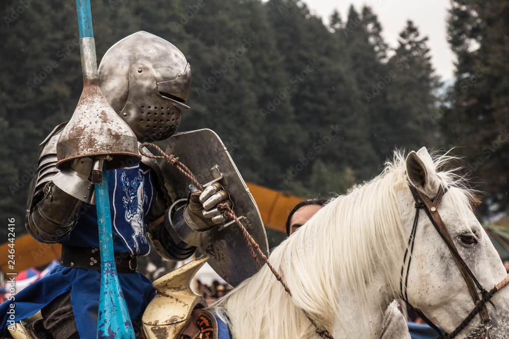 Medieval knights fighting with armor drive a horse, swords and shields ...