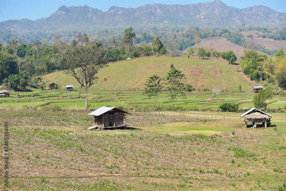 Morning views of rural villages in Thailand Stock Photo | Adobe Stock