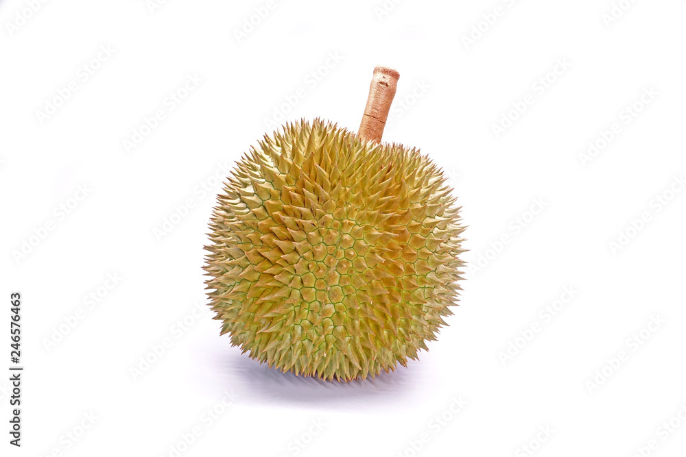 Durian the famous fruit from Thailand, it also known as The King of ...
