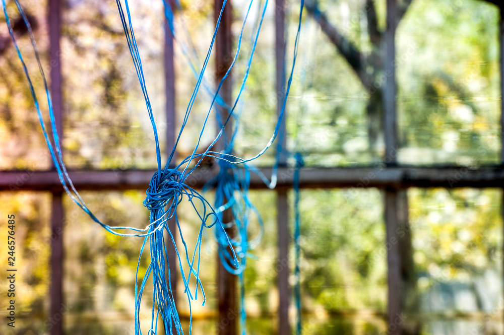Macro shot of tangled blue ropes, threads in abandoned greenhouse ...