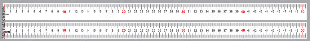 Ruler 50 cm. Precise measuring tool. Ruler scale 0,5 meter. Ruler grid ...