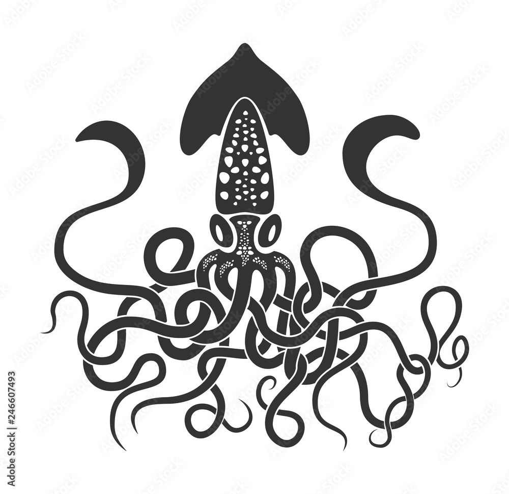 Squid Vector