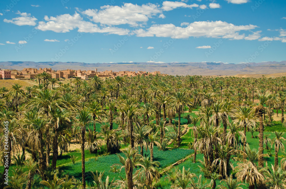 Big oasis with palm trees in Draa Valley between Sahara desert and ...