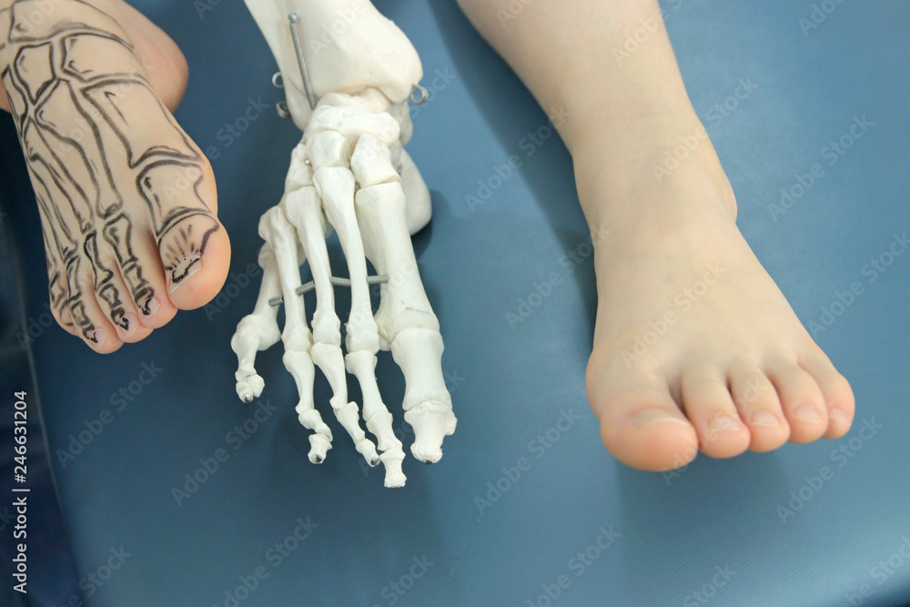 human foot with drawing bones on the skin, foot without drawing,and ...