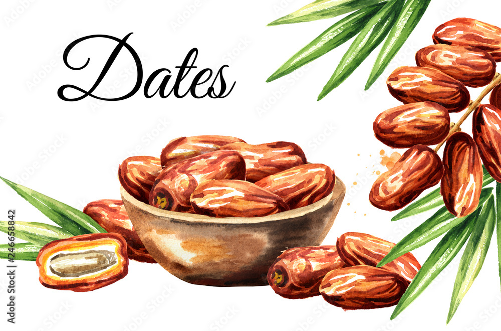 Date fruits card. Watercolor hand drawn illustration, isolated on white ...