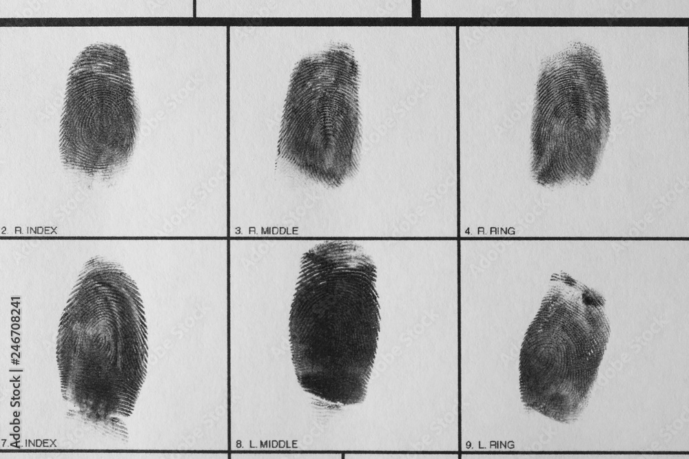 Police form with fingerprints, top view. Forensic examination Stock ...