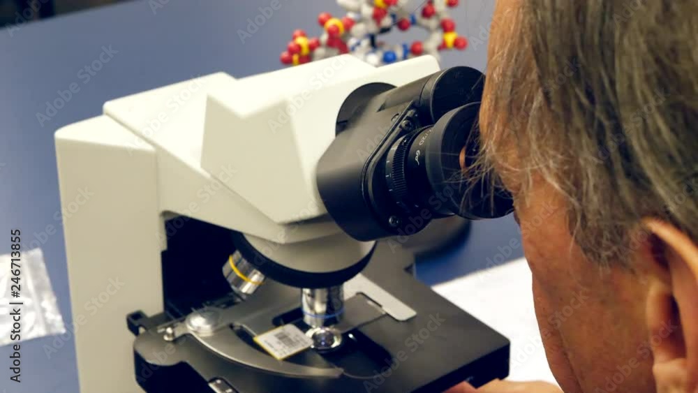 A science college professor looking through a microscope at human ...