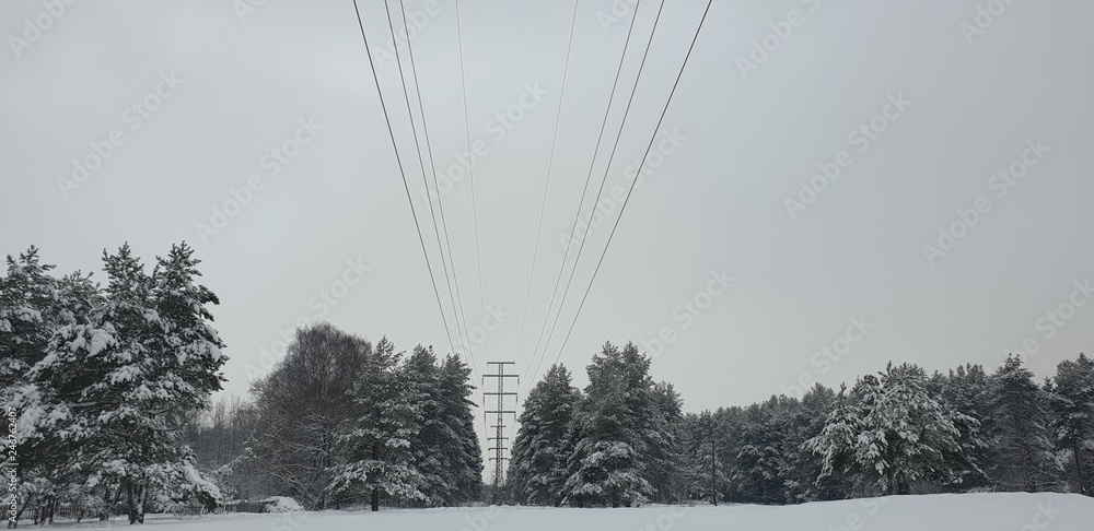 High voltage lines in the forest. Power lines in the winter forest ...