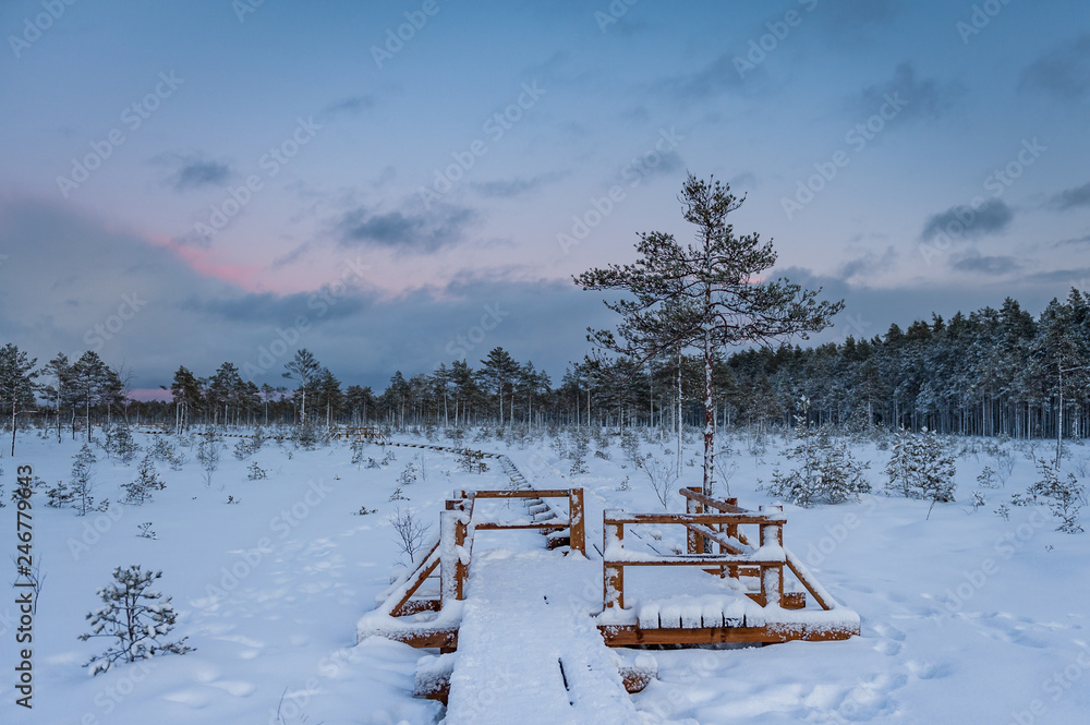 Snow covered boardwalk path through wetlands area and wooden ...