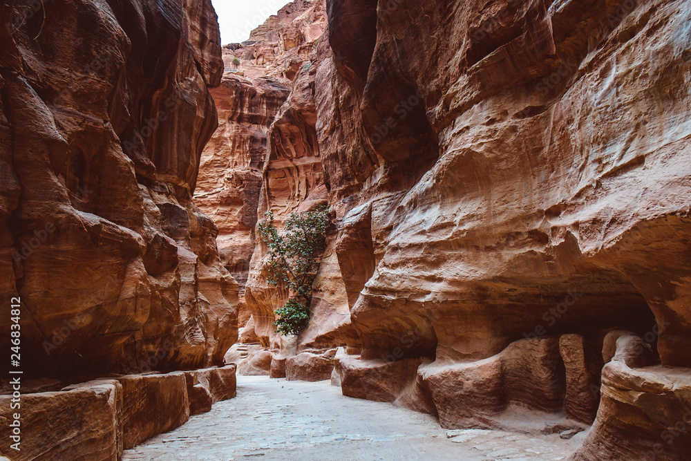 The Siq is the ancient main entrance leading to the UNESCO world ...