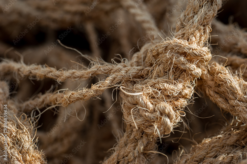 Coarse coconut rope closeup background Stock Photo | Adobe Stock