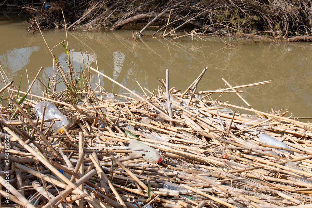 Environmental pollution by plastic. Garbage by the sea. Trash on the ...
