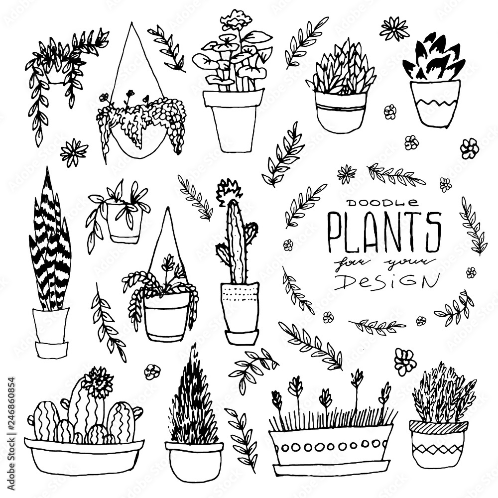 Cute Vintage Doodles of Indoor Plants. Isolated Hand Drawn Hipster ...