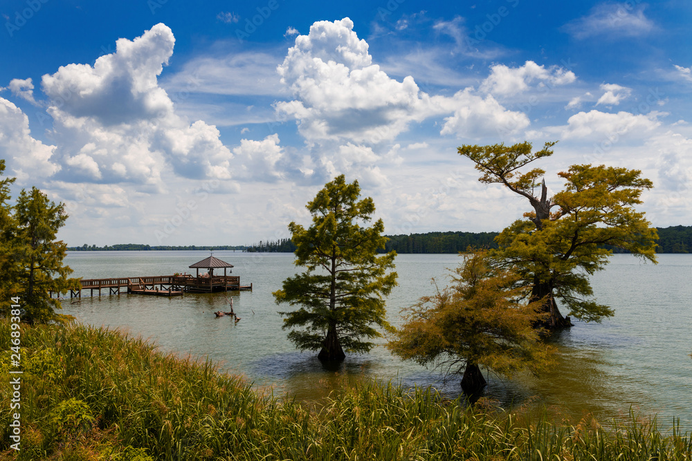 Mississippi Landscape