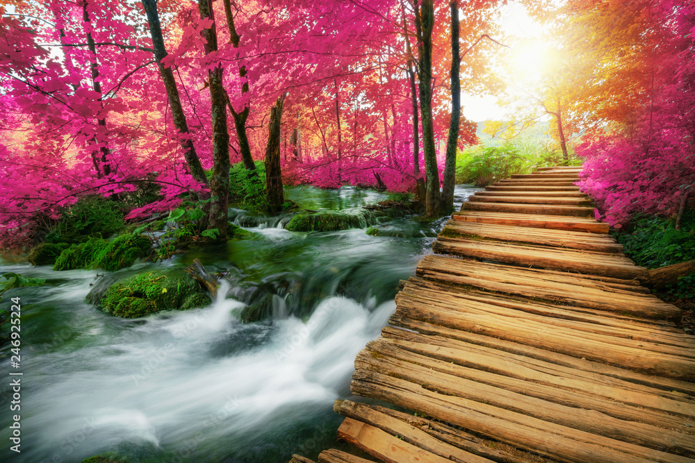 Beautiful wooden path trail for nature trekking with lakes and ...