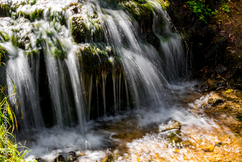 Beautiful forest stream, fast water flow Stock Photo | Adobe Stock