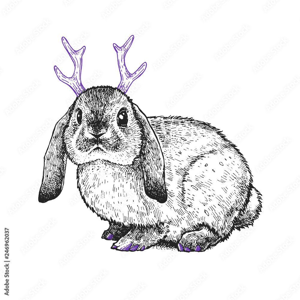 Hare with a horns isolated on a white background. Hand drawn fantasy ...