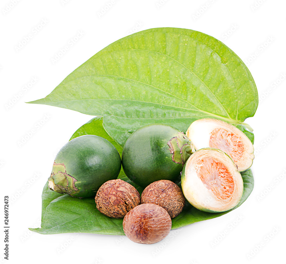 Betel Nut Leaf
