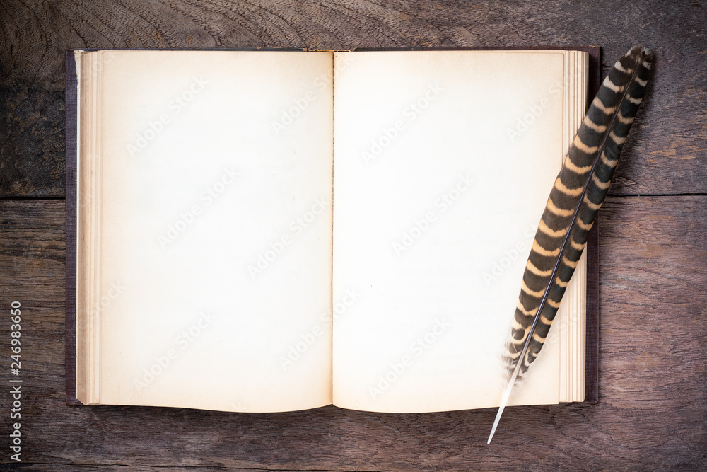 Blank Old Journal Pages