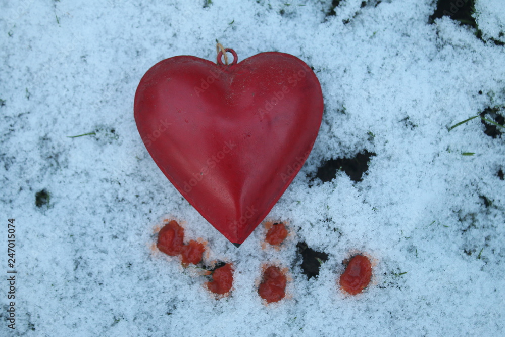 Red Heart In Snow