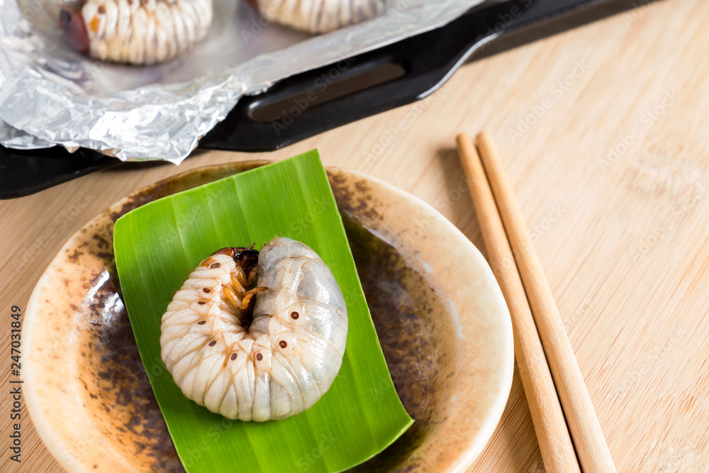 Grub Worms or Coconut Rhinoceros Beetle. Insects food for eating larvae ...