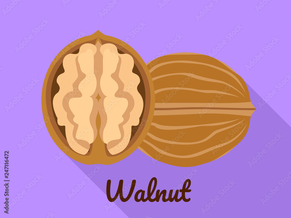 Walnut Icon