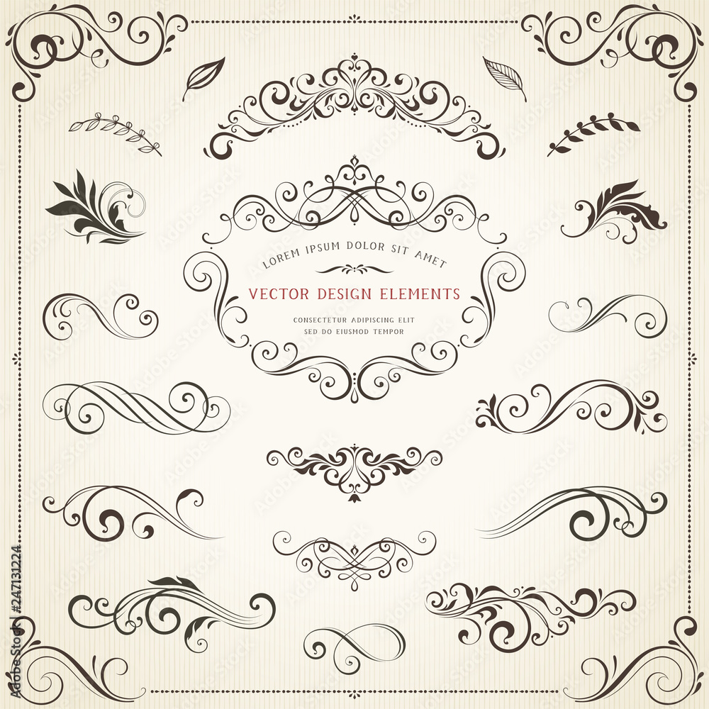 Calligraphy swirls, swashes, ornate motifs and scrolls. Stock ベクター ...