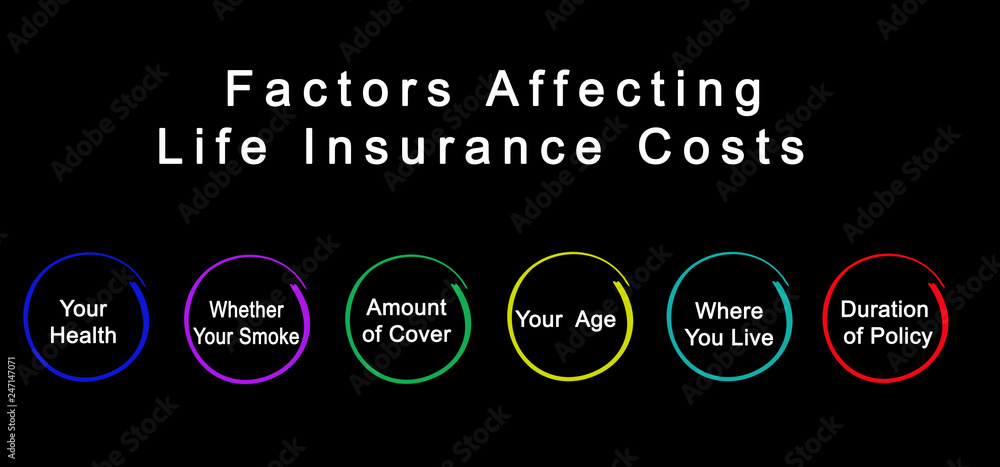 Factors Affecting Life Insurance Costs Stock Illustration | Adobe Stock