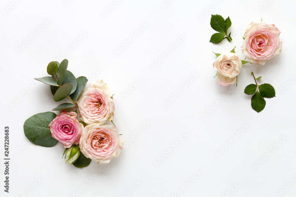 Spring white background with roses. Top view. Stock Photo | Adobe Stock