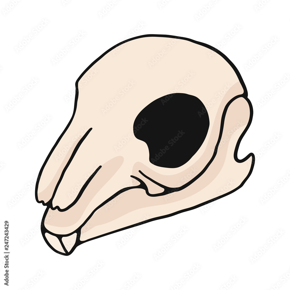Rabbit skull cartoon vector illustration motif set. Hand drawn isolated ...