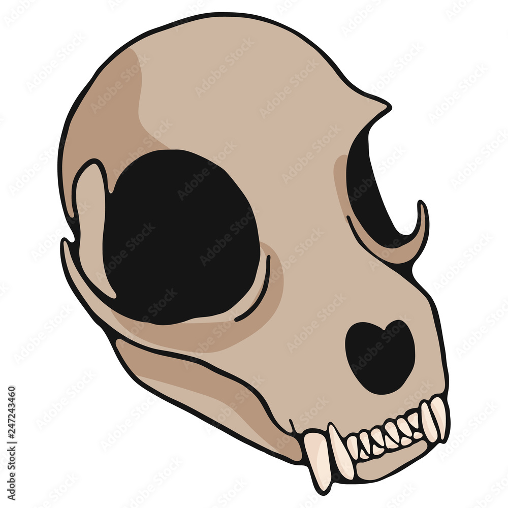 cat skull cartoon vector illustration motif set. Hand drawn isolated ...
