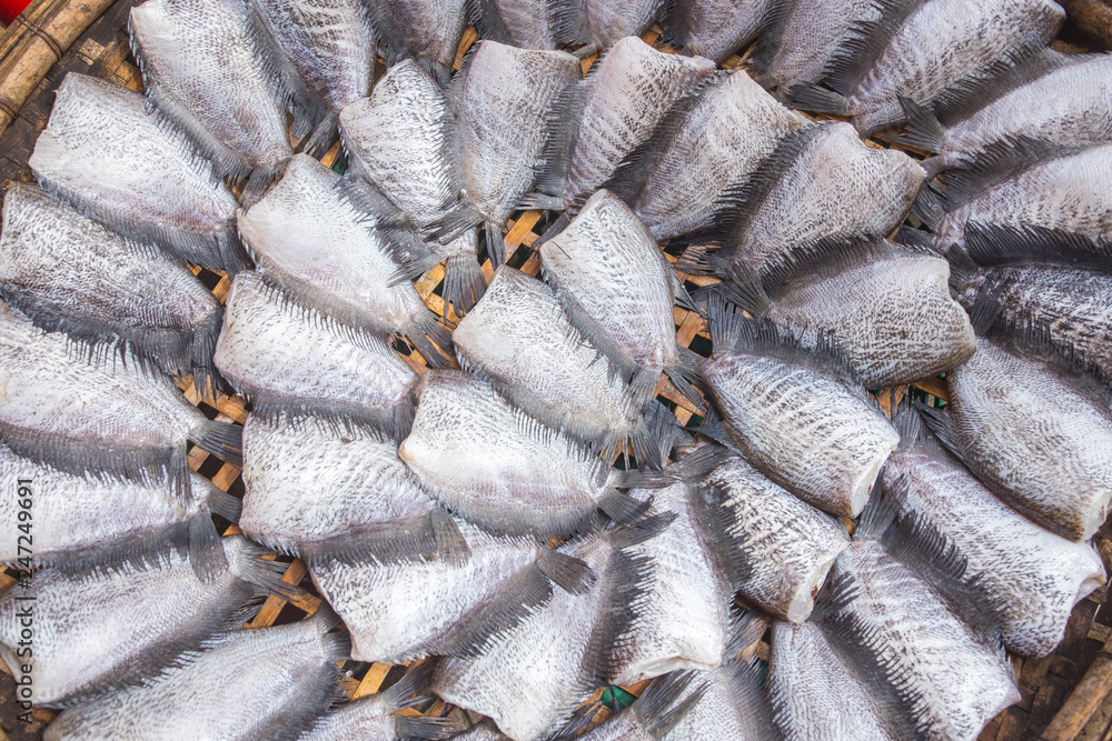 Dried Trichogaster pectoralis fish arranged in rows Thailand market ...