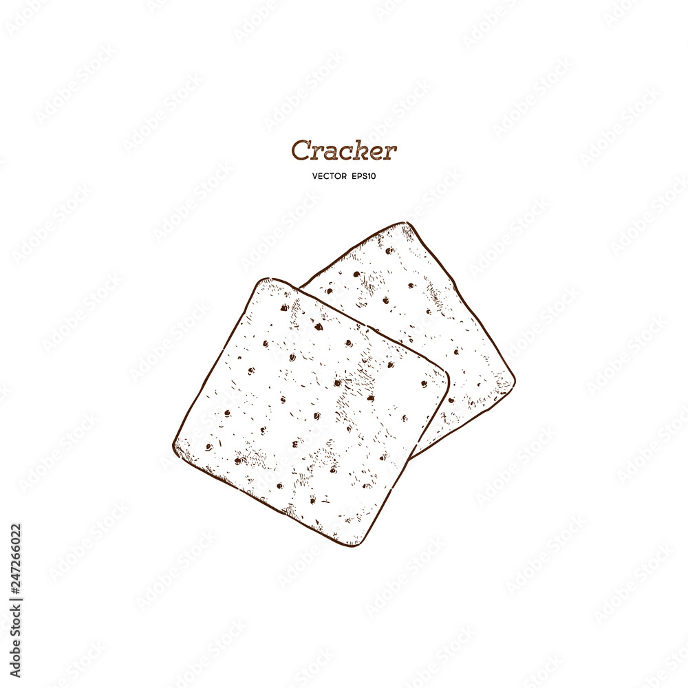 Cracker, Hand draw sketch vector. Stock Vector | Adobe Stock