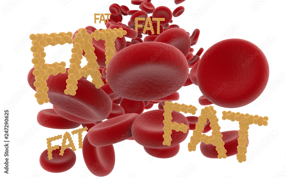Isolated rendering red blood cells and the words fat from fat cells on ...