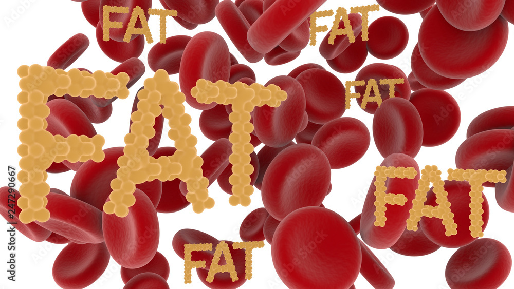 Rendering red blood cells and the words fat from fat cells on white ...