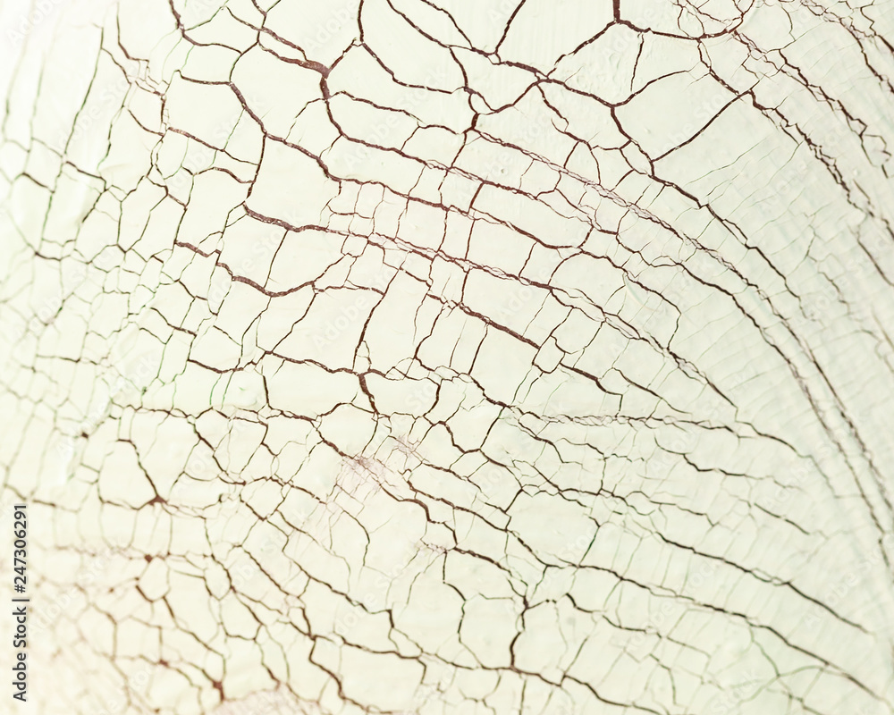 Skin Crack Texture