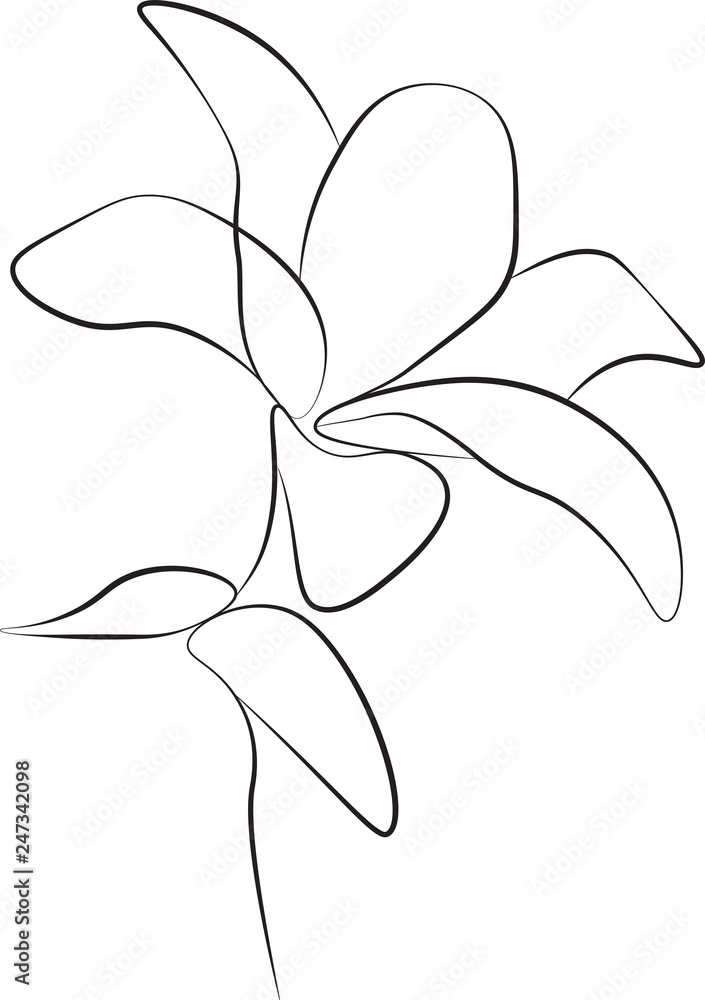 One line drawing flower, vector illustration Stock Illustration | Adobe ...