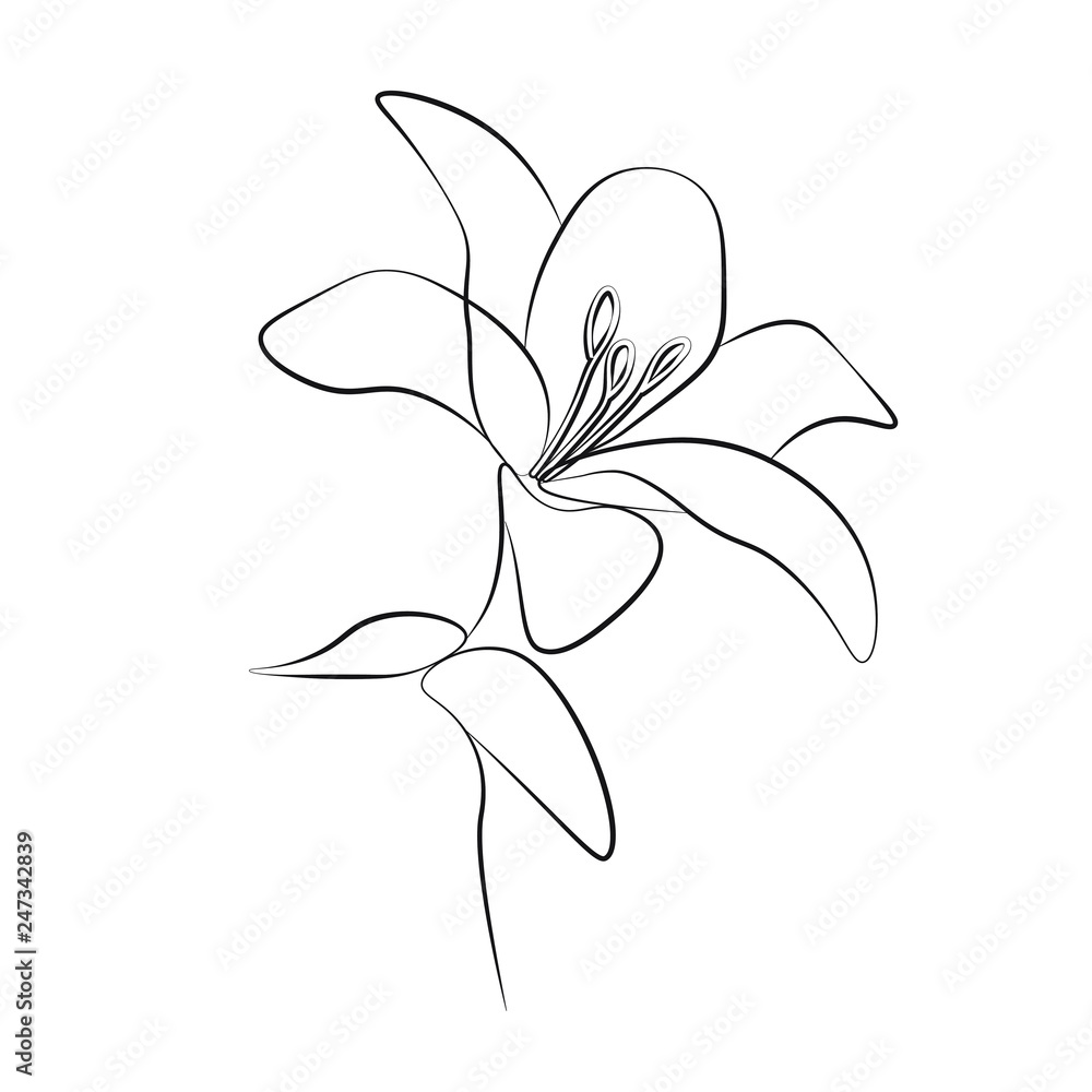 One line drawing flower, vector illustration Stock Vector | Adobe Stock