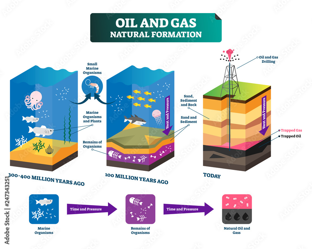Oil and gas natural formation labeled vector illustration explain ...