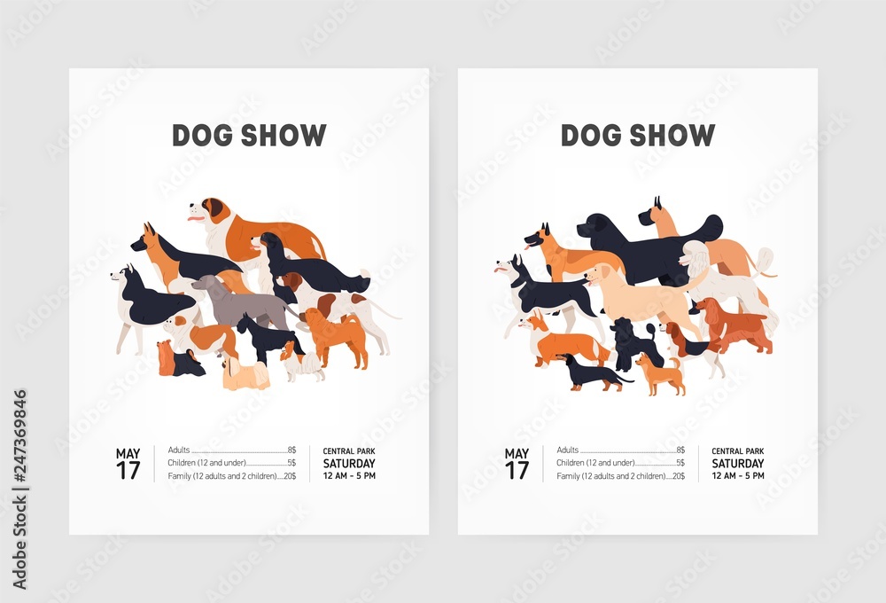 Set of flyer or poster templates for conformation dog show with cute ...