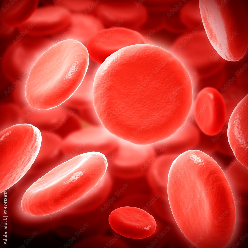 Red blood cells, illustration Stock Photo | Adobe Stock
